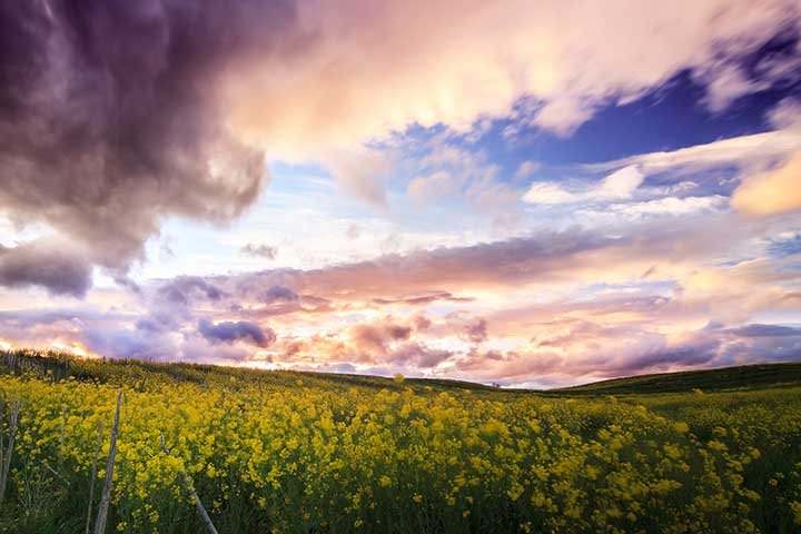 Weddings and Events | Gracely Hill Weddings & Events